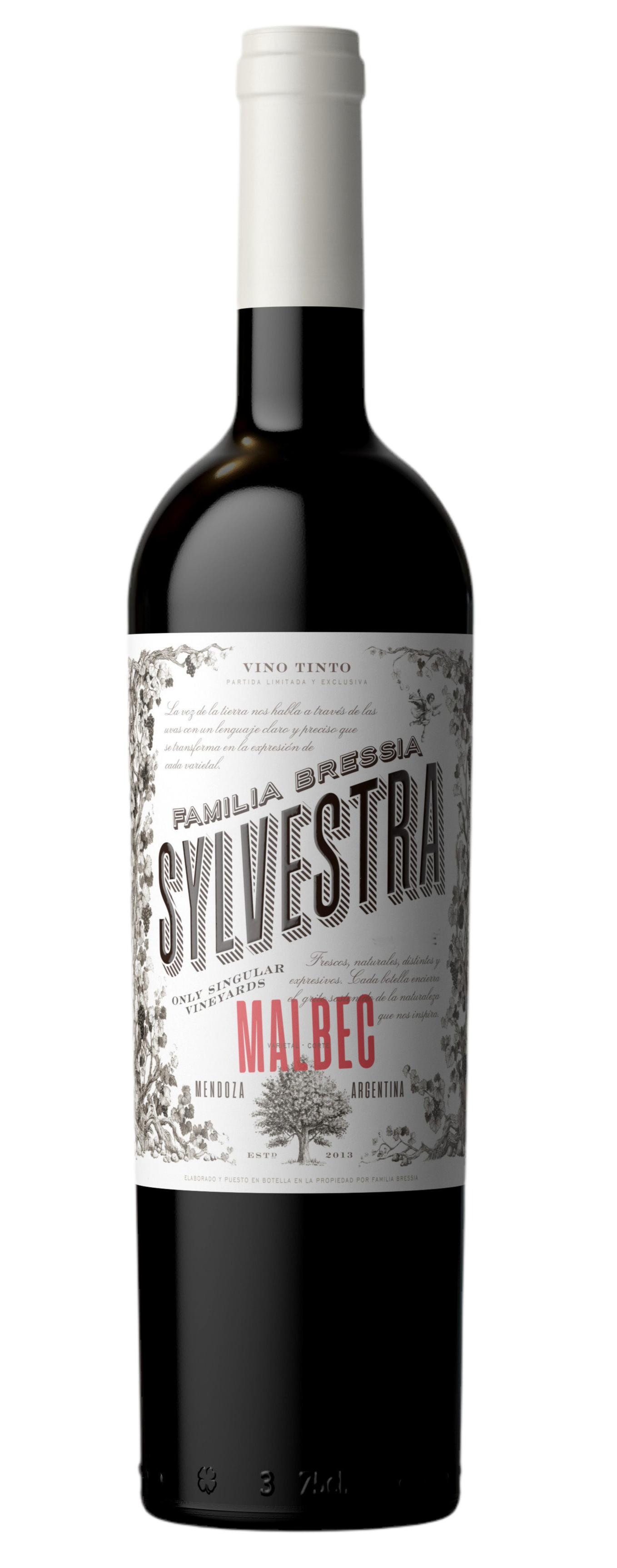 Walter Bressia Sylvestra Malbec – The Wine Rooms Chew Magna