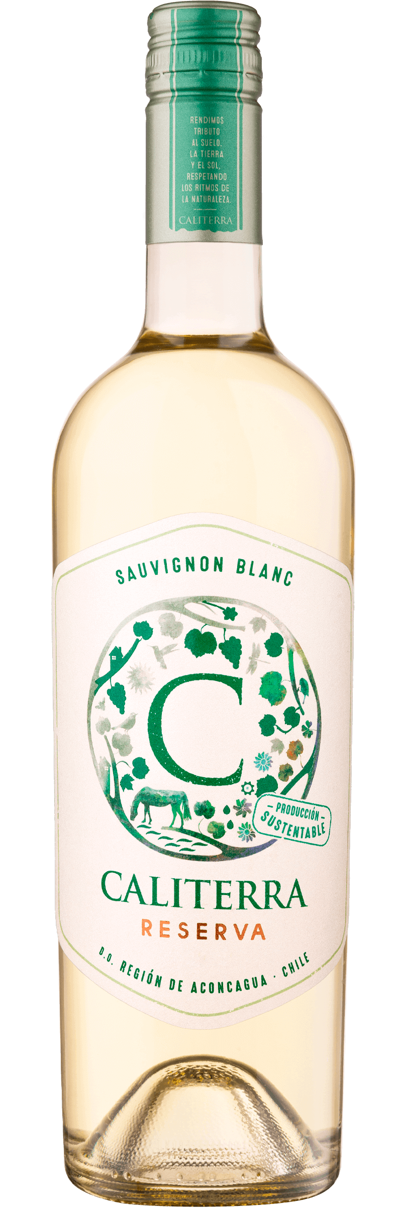 Caliterra Sauvignon Blanc Reserva 2023 – The Wine Rooms Chew Magna